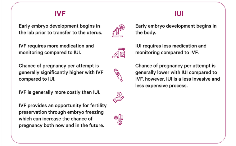 IVF vs IUI, And Other Treatments