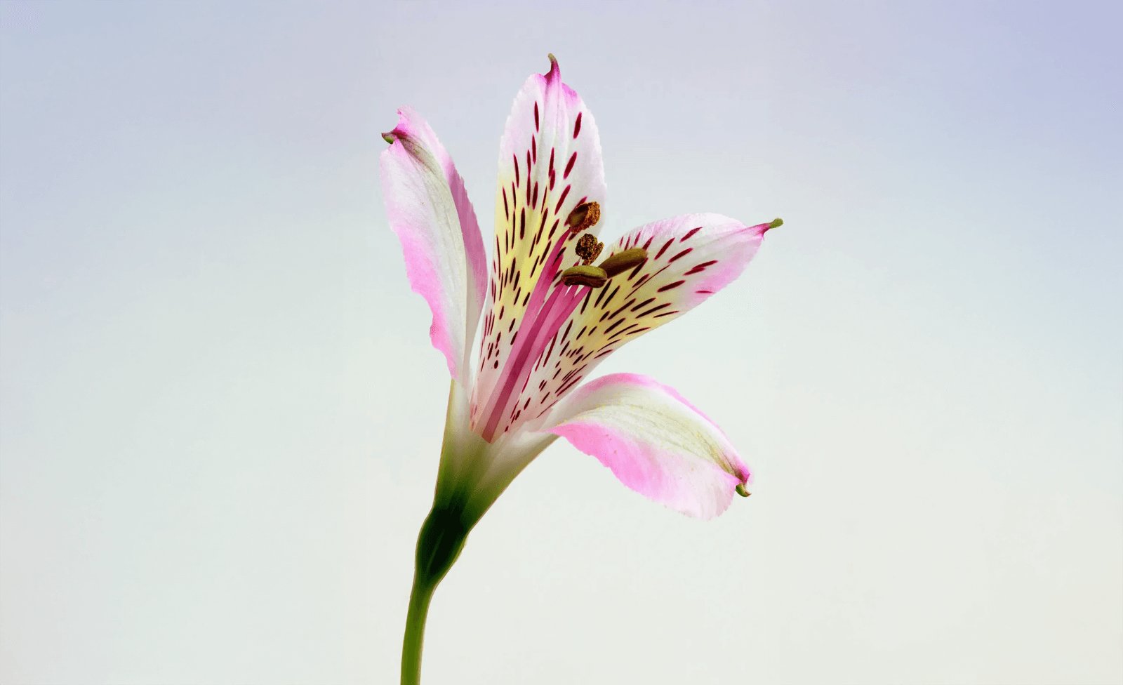 Home [www.generationfertility.ca]